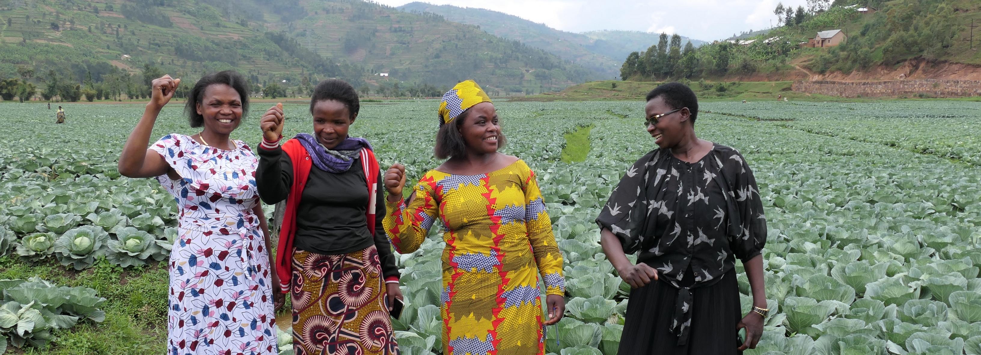 Agriterra | agricord
