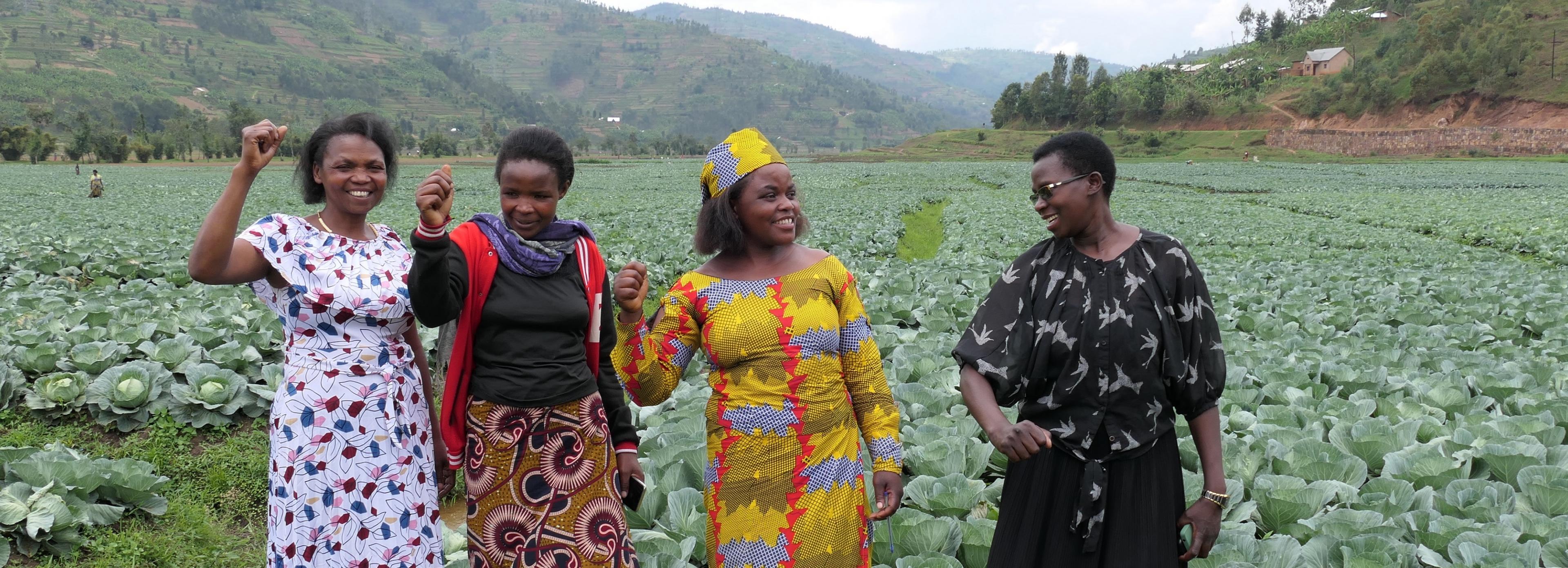 Agriterra | agricord